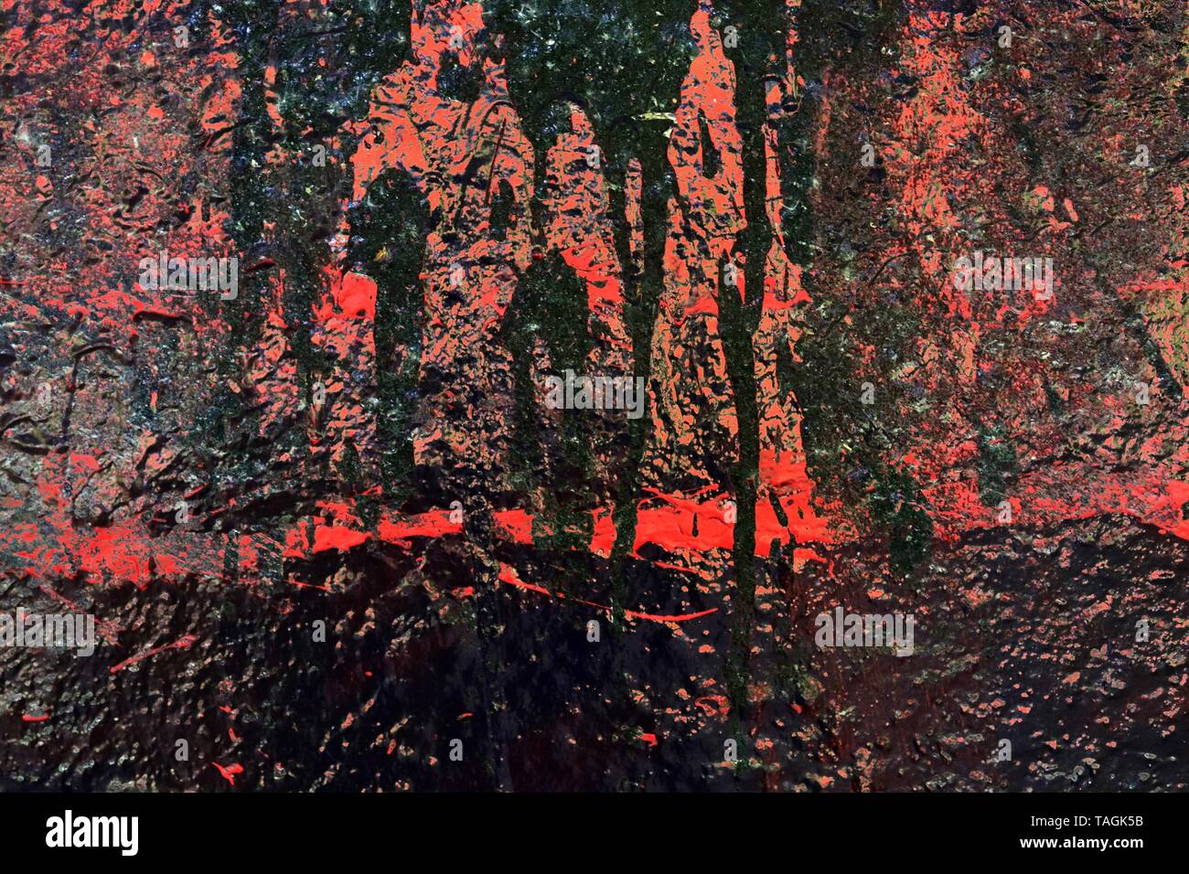 Colorful paint splashes at old and weathered concrete walls Stock Photo ...