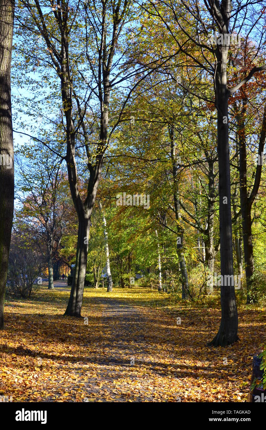 Berlin tiergarten pink hi-res stock photography and images - Alamy