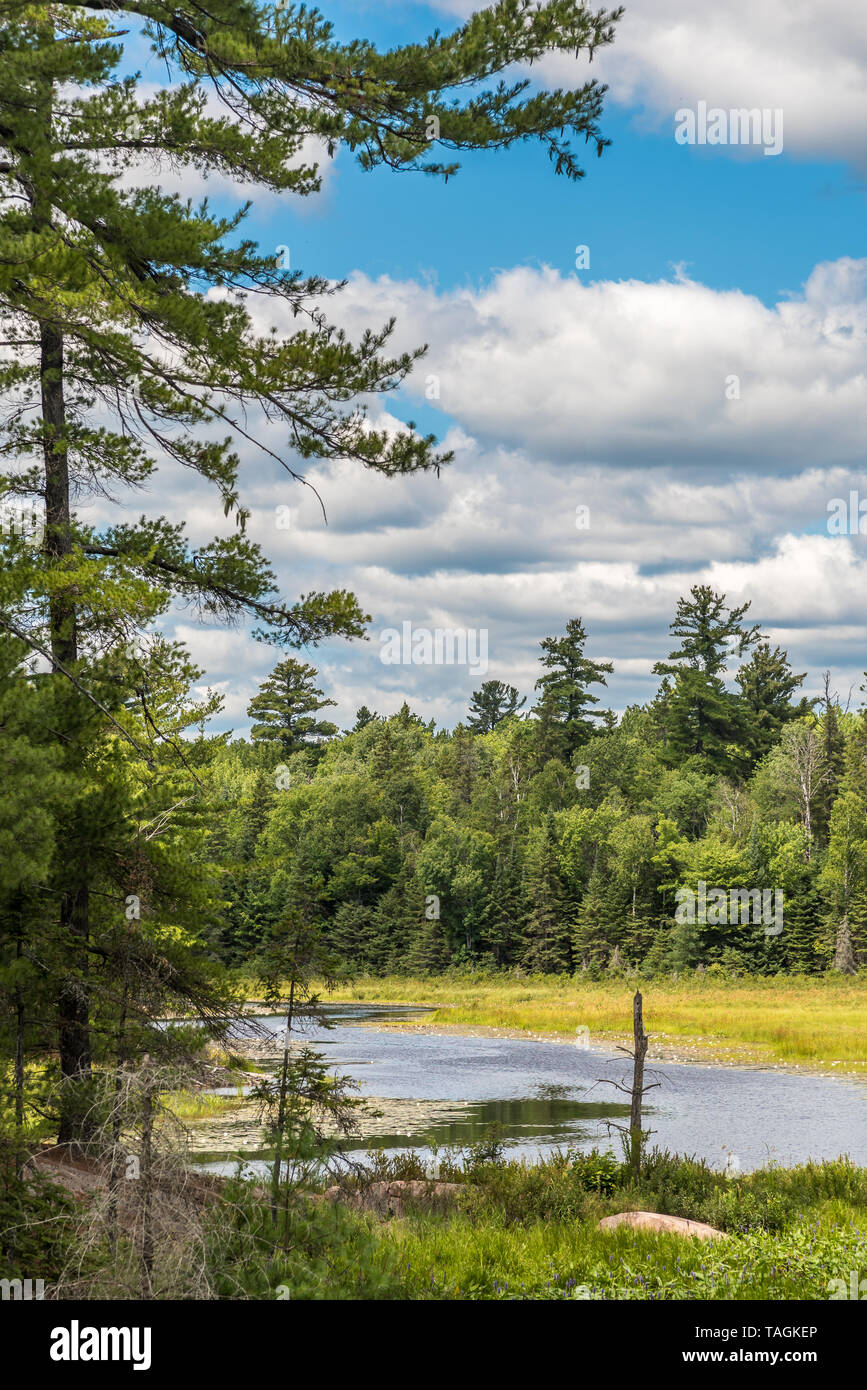 Forest lake in summer time. Killarney. Canada Stock Photo - Alamy
