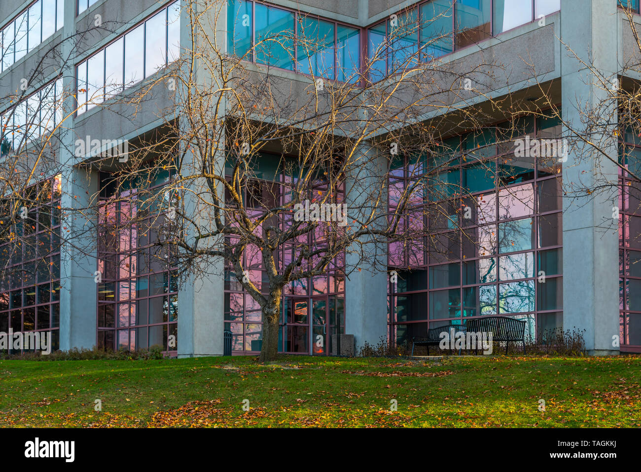 Business building in fall time. Markham, Canada Stock Photo - Alamy