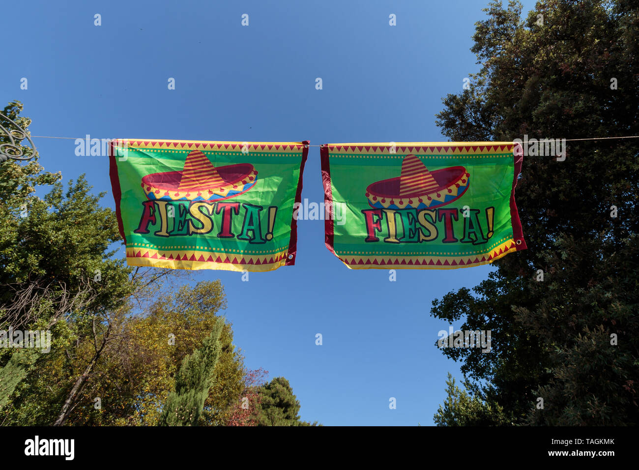 Fiesta sign with sombrero against forest trees and blue sky background ...