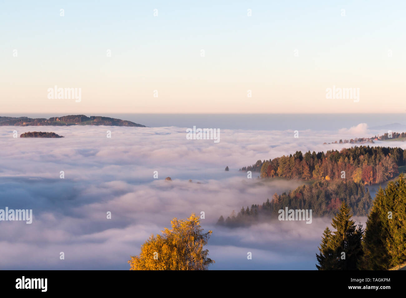 High fog hi-res stock photography and images - Alamy