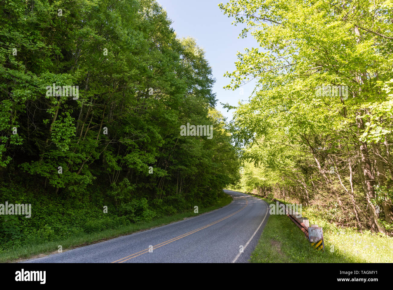 Beautiful Blue Ridge Parkway forest vista in springtime, western North ...