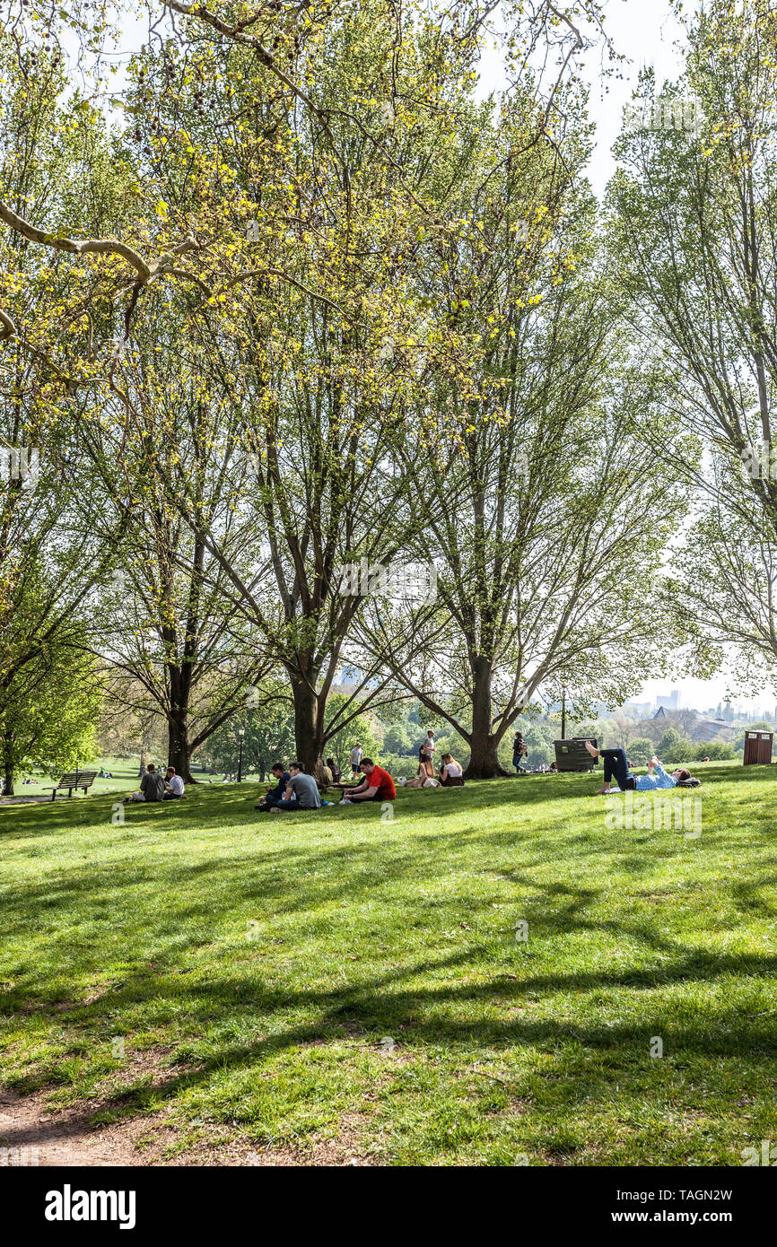 The Regent's Park, Primrose Hill, London, England, UK Stock Photo - Alamy