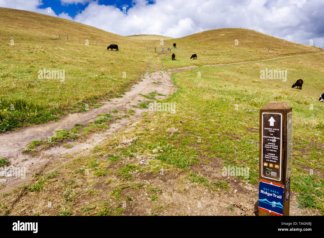 Livestock grazing sign hi-res stock photography and images - Alamy