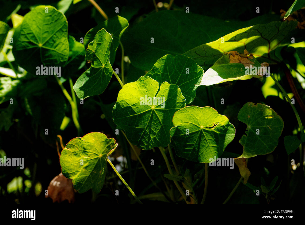 Corner nook shafts hi-res stock photography and images - Alamy
