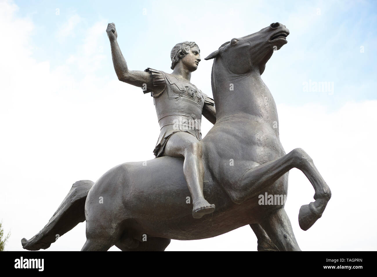 Alexander the great horse bucephalus hi-res stock photography and ...