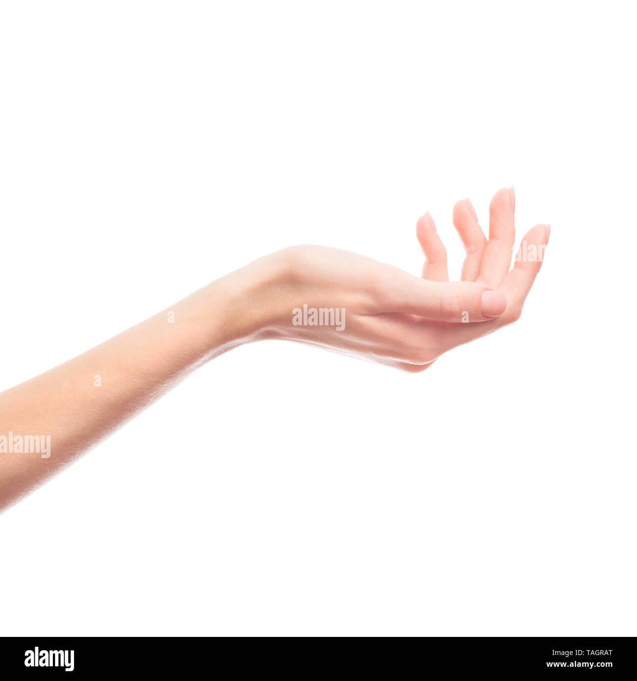 Female hand isolated on white background Stock Photo - Alamy
