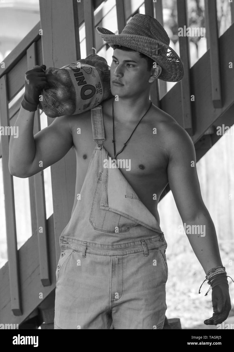 Male models hi-res stock photography and images - Alamy