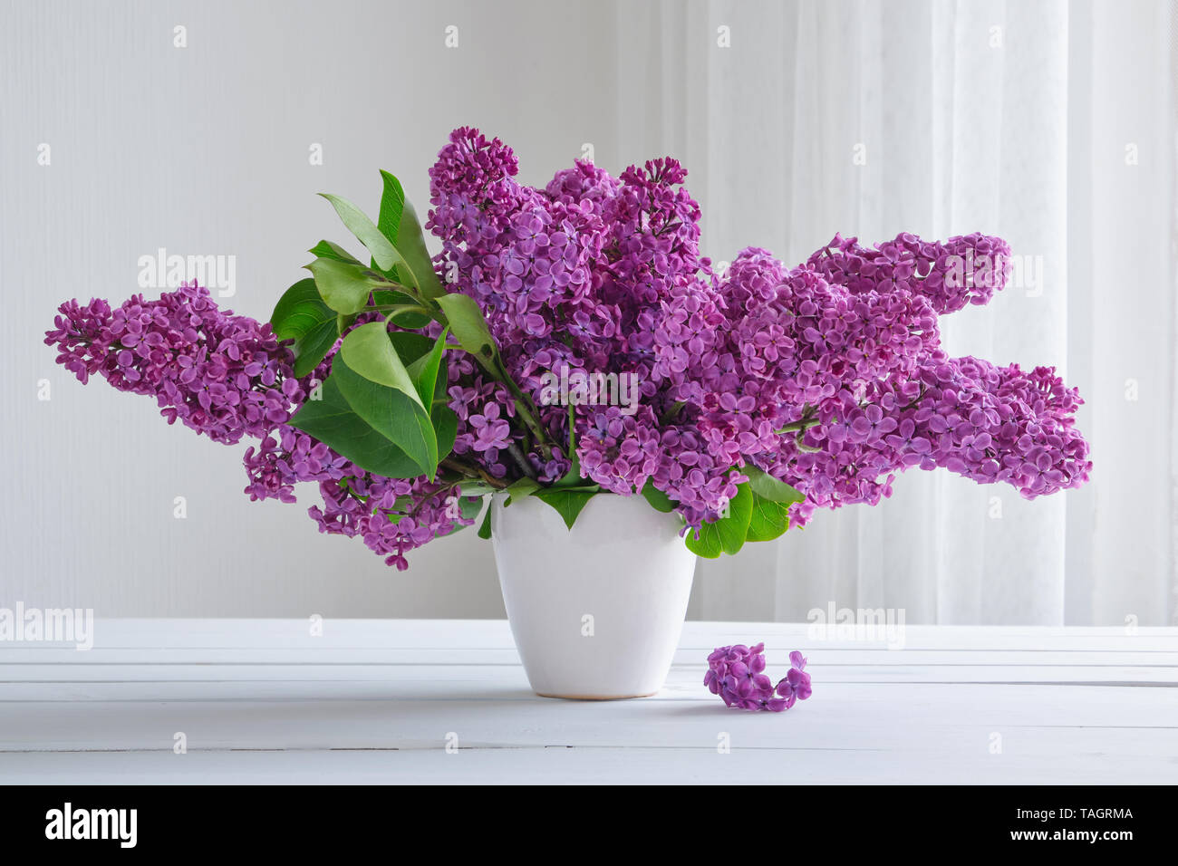Lilac flowers vase hi-res stock photography and images - Alamy
