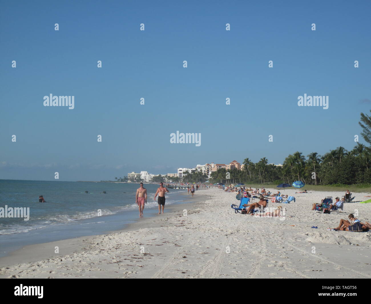 Sandy beach in Naples, Florida Stock Photo - Alamy