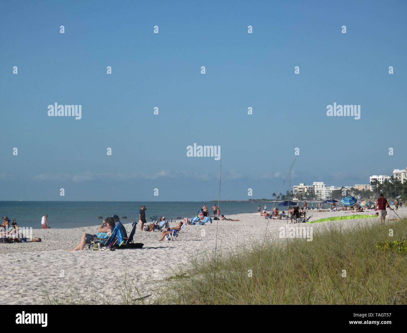 Sandy beach in Naples, Florida Stock Photo - Alamy