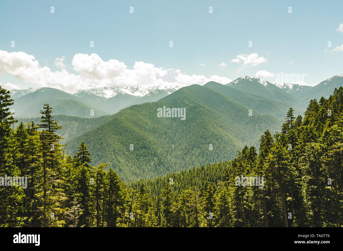 Olympic National Park Hurricane Ridge mountain side Stock Photo - Alamy