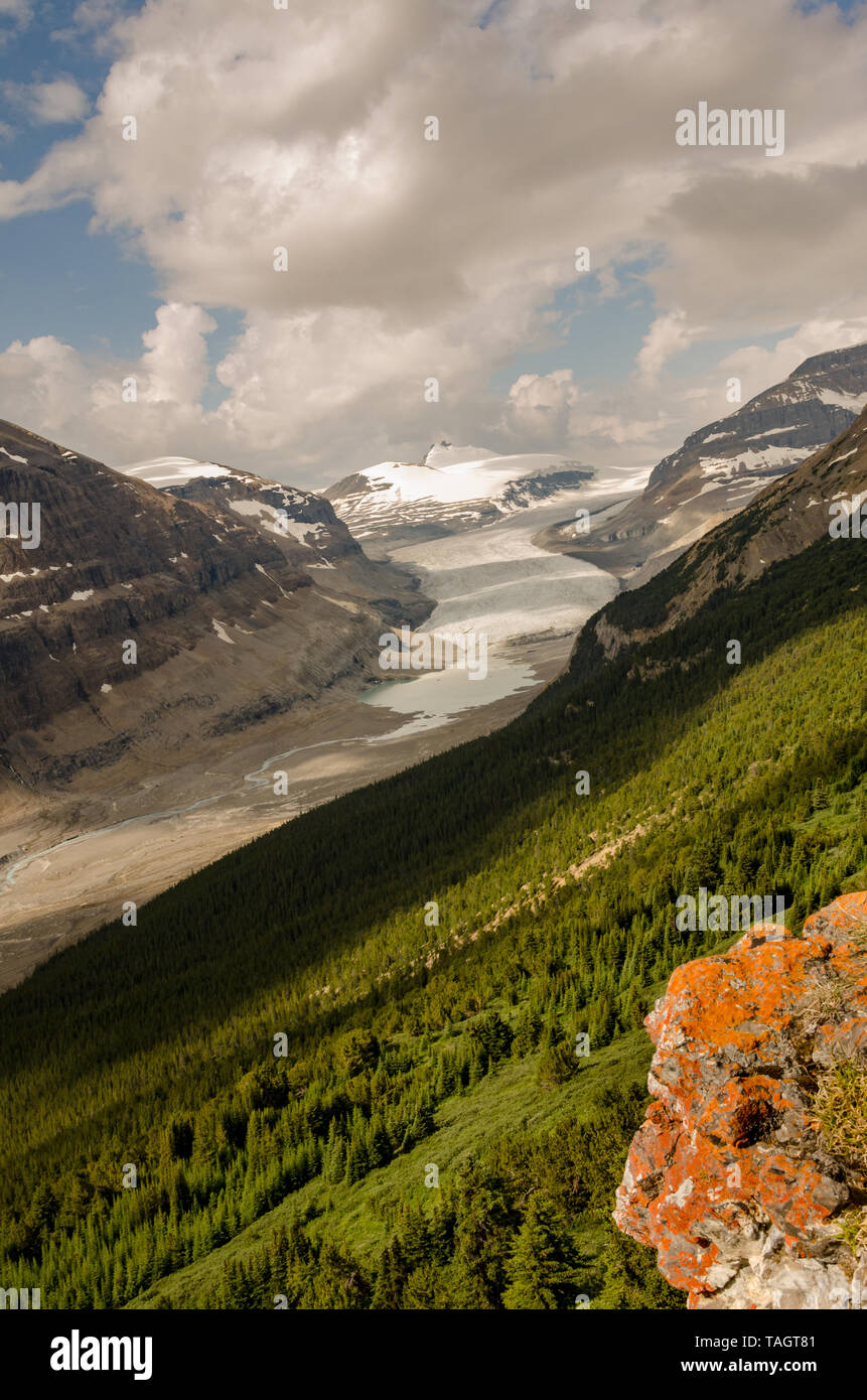 Parker Ridge , athabasca glacier , Canada Stock Photo - Alamy