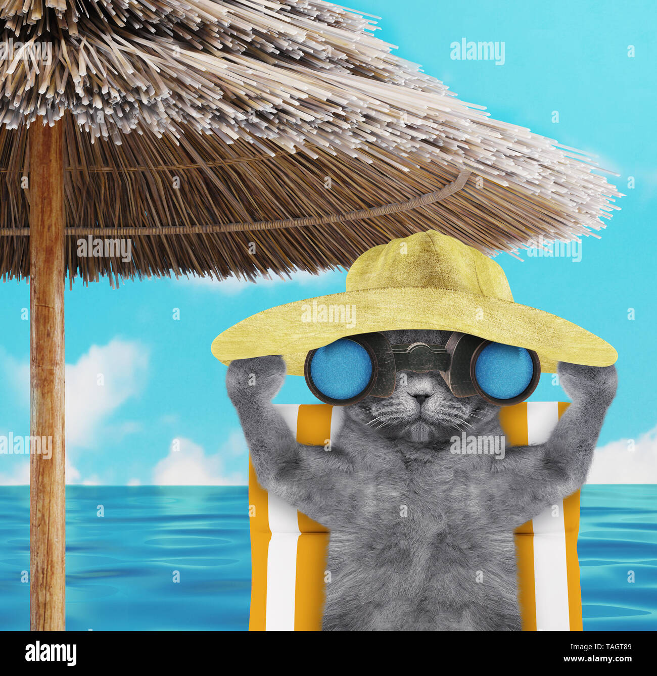 Sunbathing funny hi-res stock photography and images - Alamy