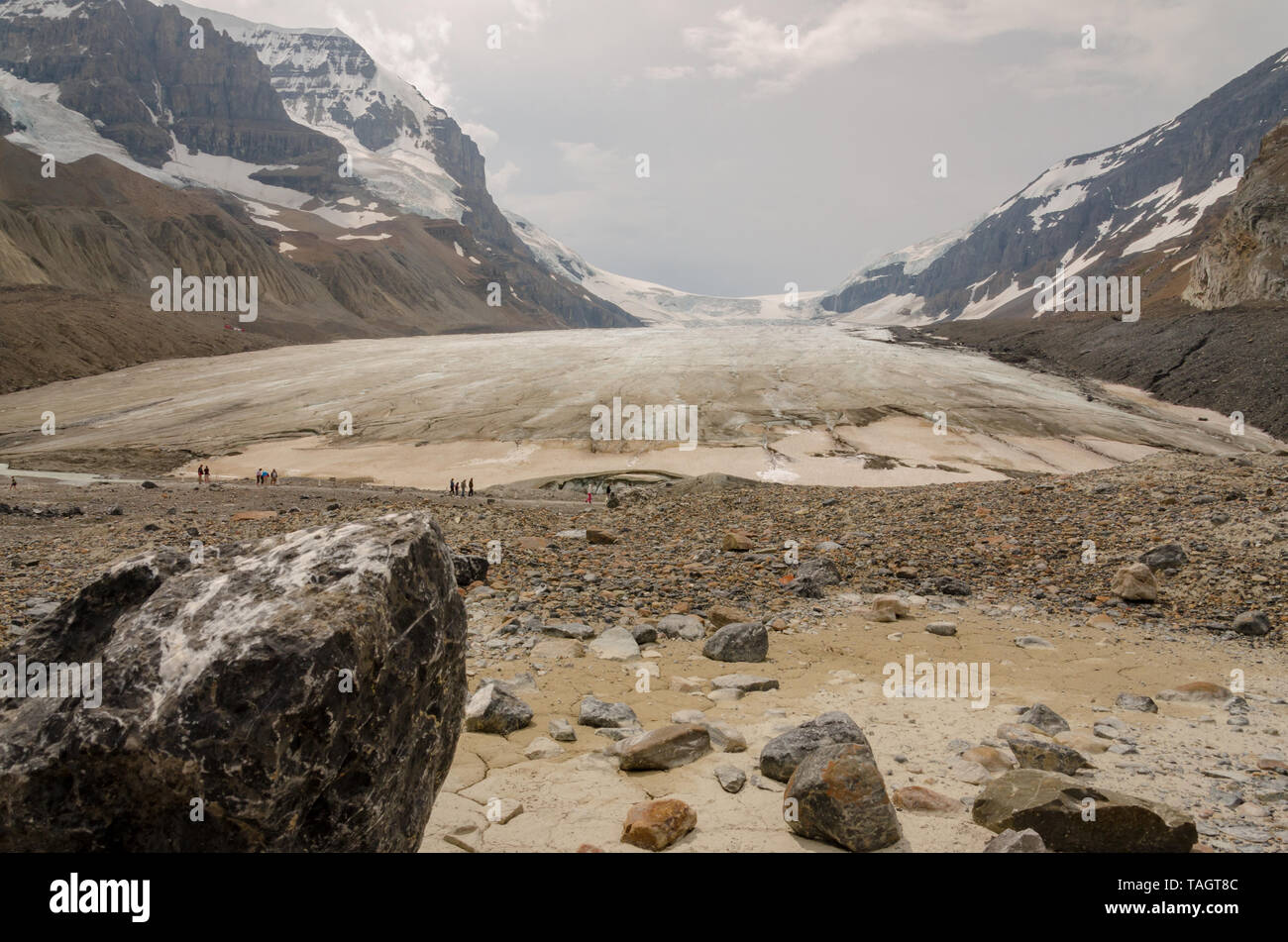 Walking icefield hi-res stock photography and images - Alamy