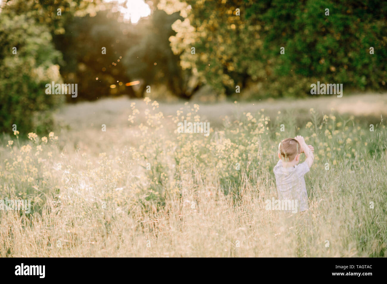 big brother and baby sister hug in a field Stock Photo - Alamy