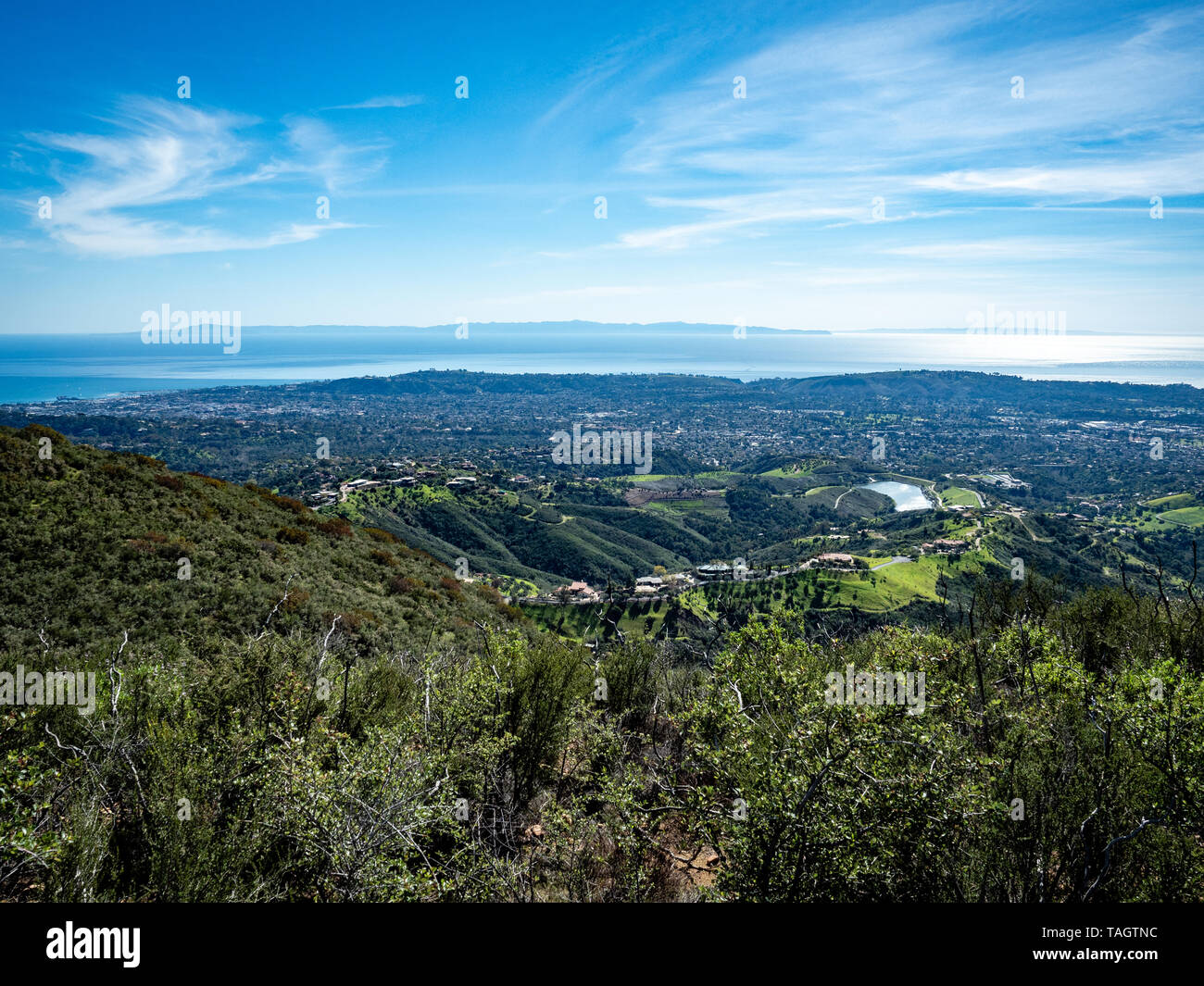 Channel islands oak hi-res stock photography and images - Alamy