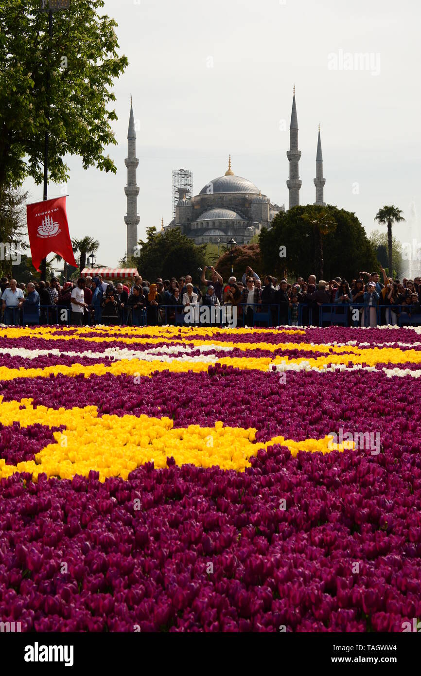 Tulip festival. Sultan Ahmed mosque. Istanbul. Turkey Stock Photo - Alamy