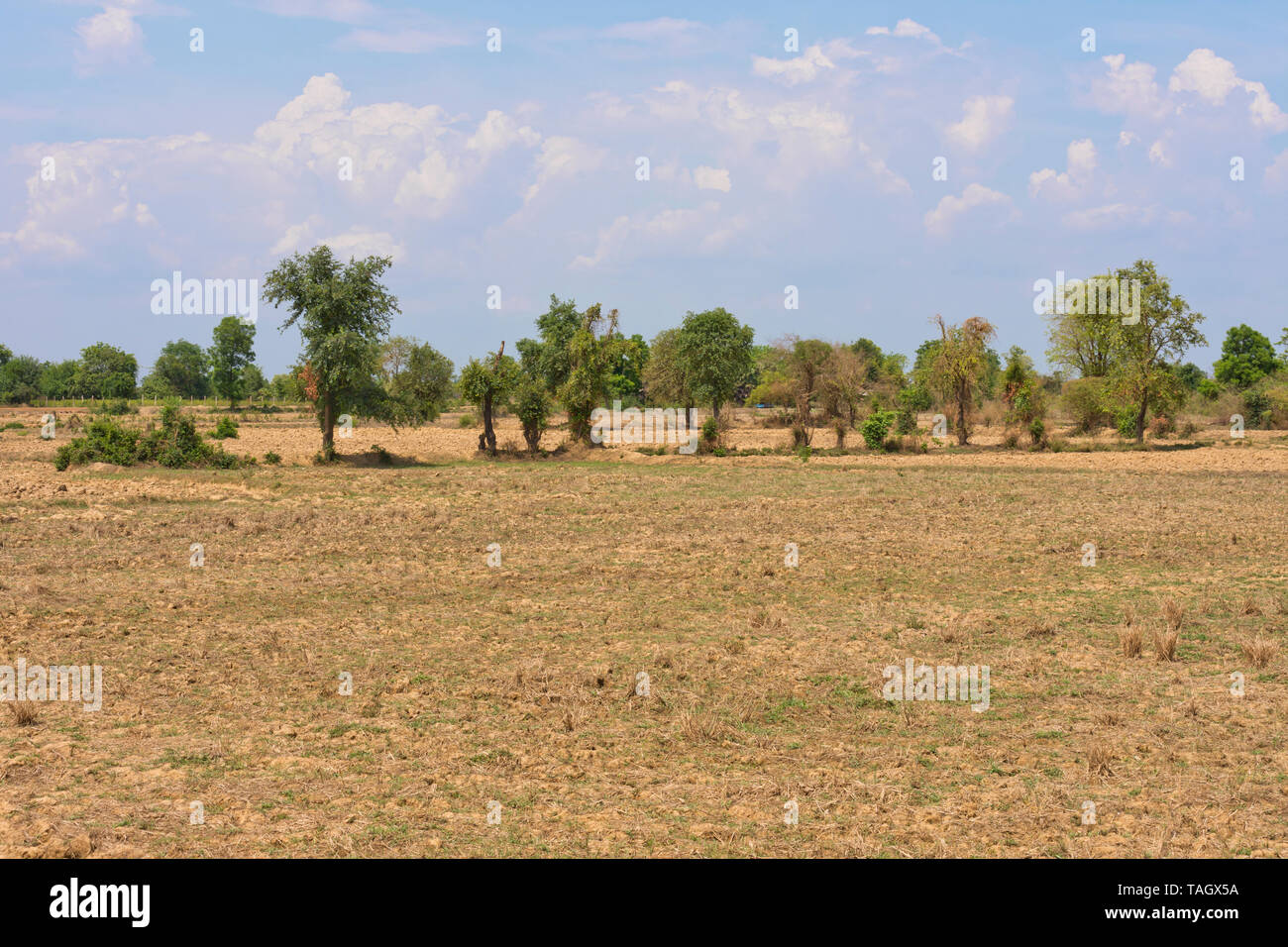 Rural landscape at Battambang, Cambodia Stock Photo - Alamy
