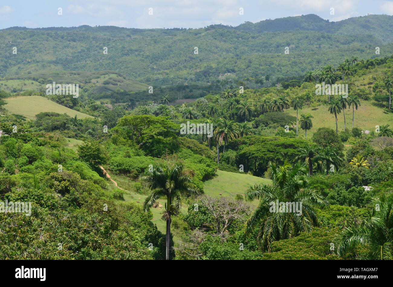 Fields and forested slopes in Guisa municipality (Granma province, Cuba ...