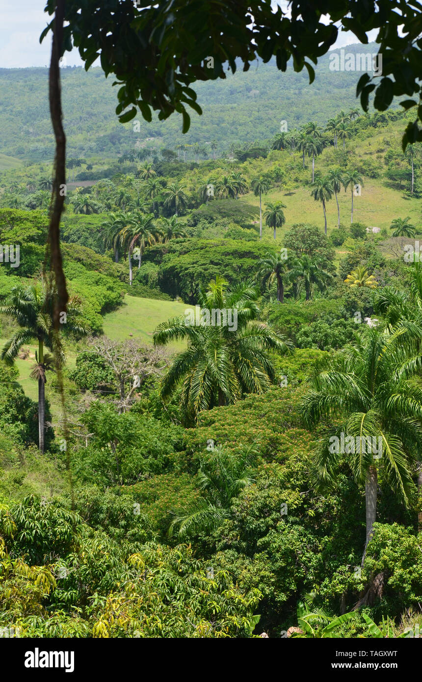 Fields and forested slopes in Guisa municipality (Granma province, Cuba ...