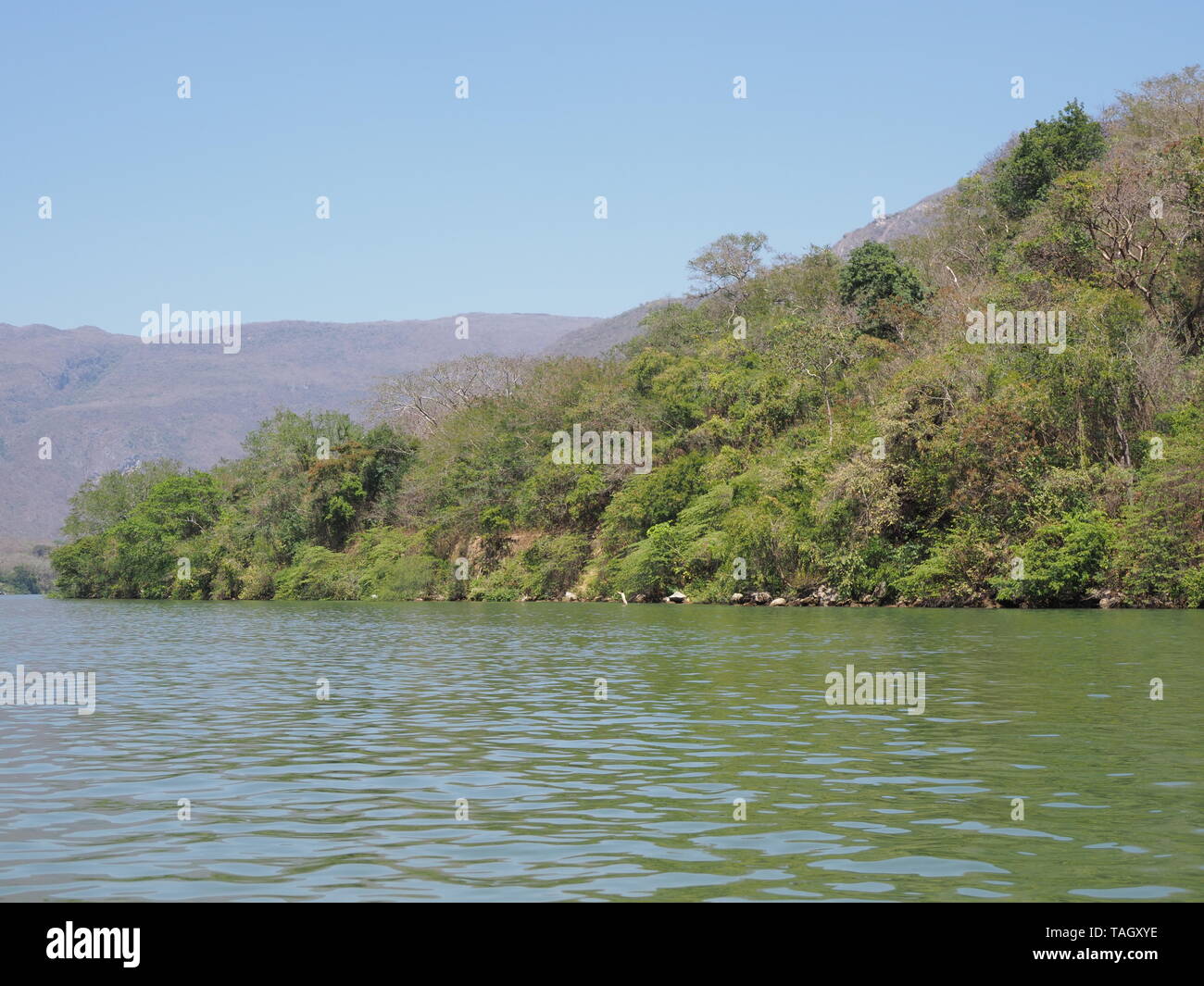 Beautiful scenery of wild slope of Sumidero canyon at Grijalva river ...