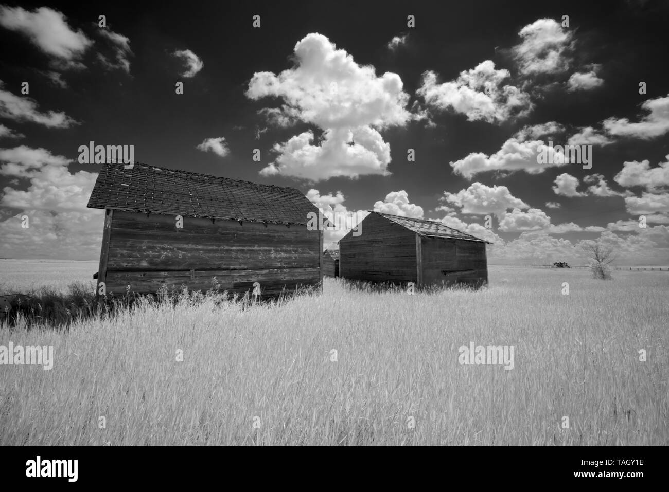Graneries and clouds Oyen Alberta Canada Stock Photo - Alamy
