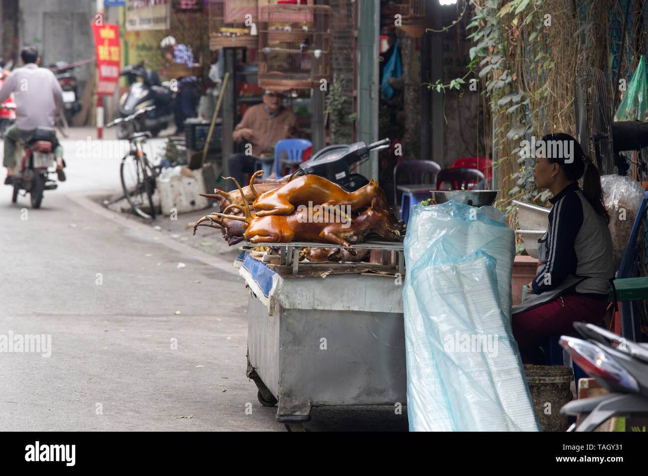 Dog meat restaurant hanoi vietnam hi-res stock photography and images ...