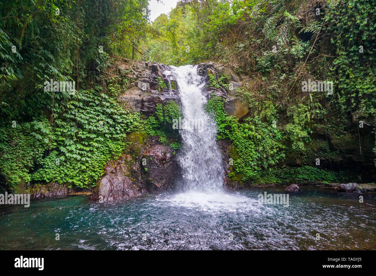 GitGit waterfall, Bali. The waterfall is a popular tourist destination ...