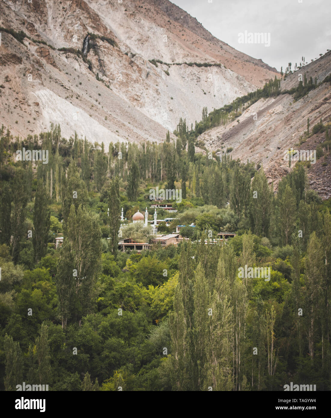 Beautiful landscape showing a mosque in the center of a forest. Photo ...