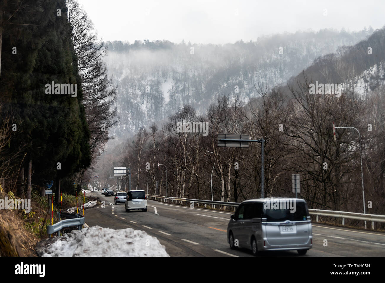Takayama, Japan - April 8, 2019: Forest in early spring in Gifu ...