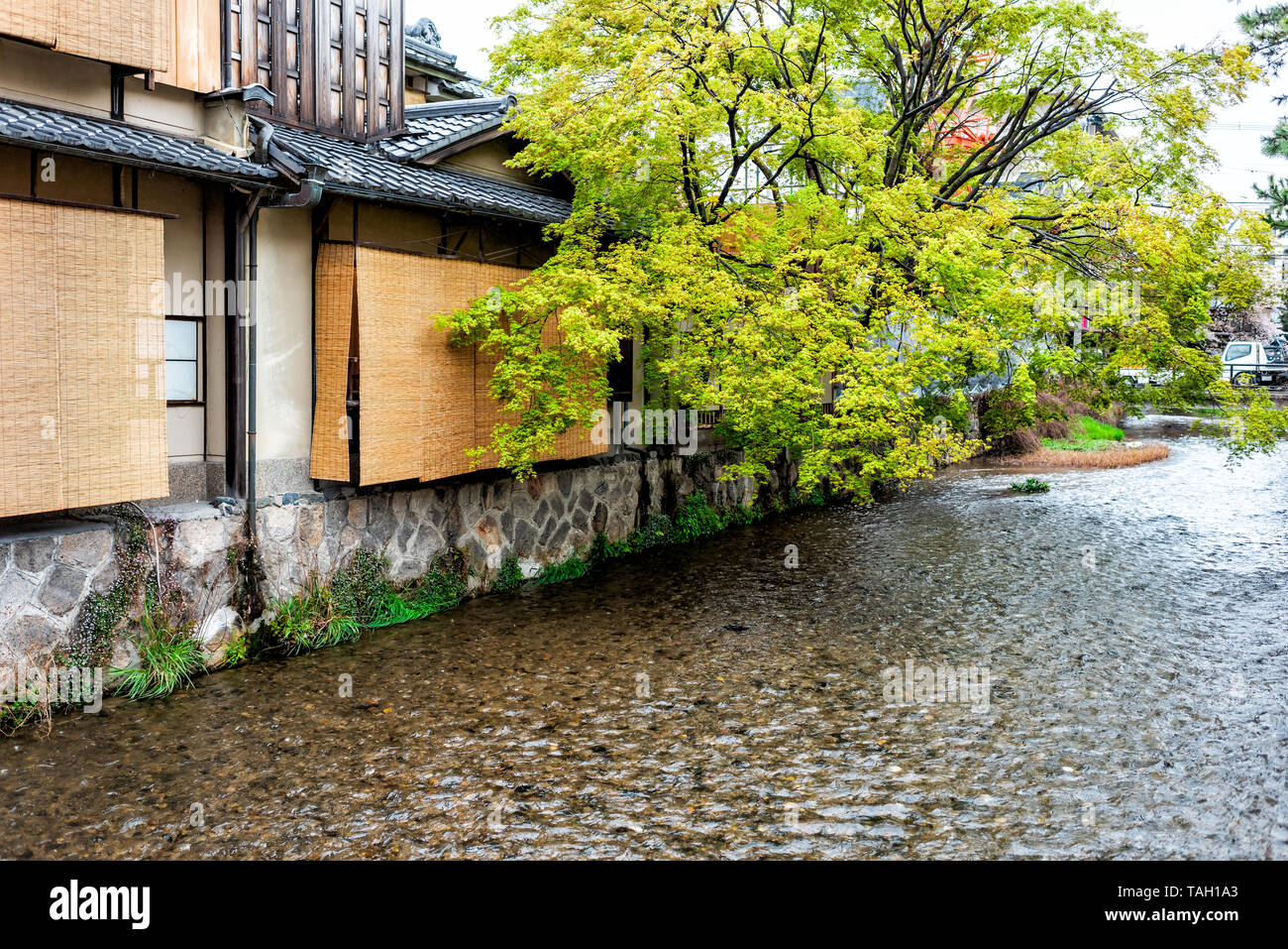 Kyoto, Japan Gion with cherry blossom sakura and willow trees in spring ...