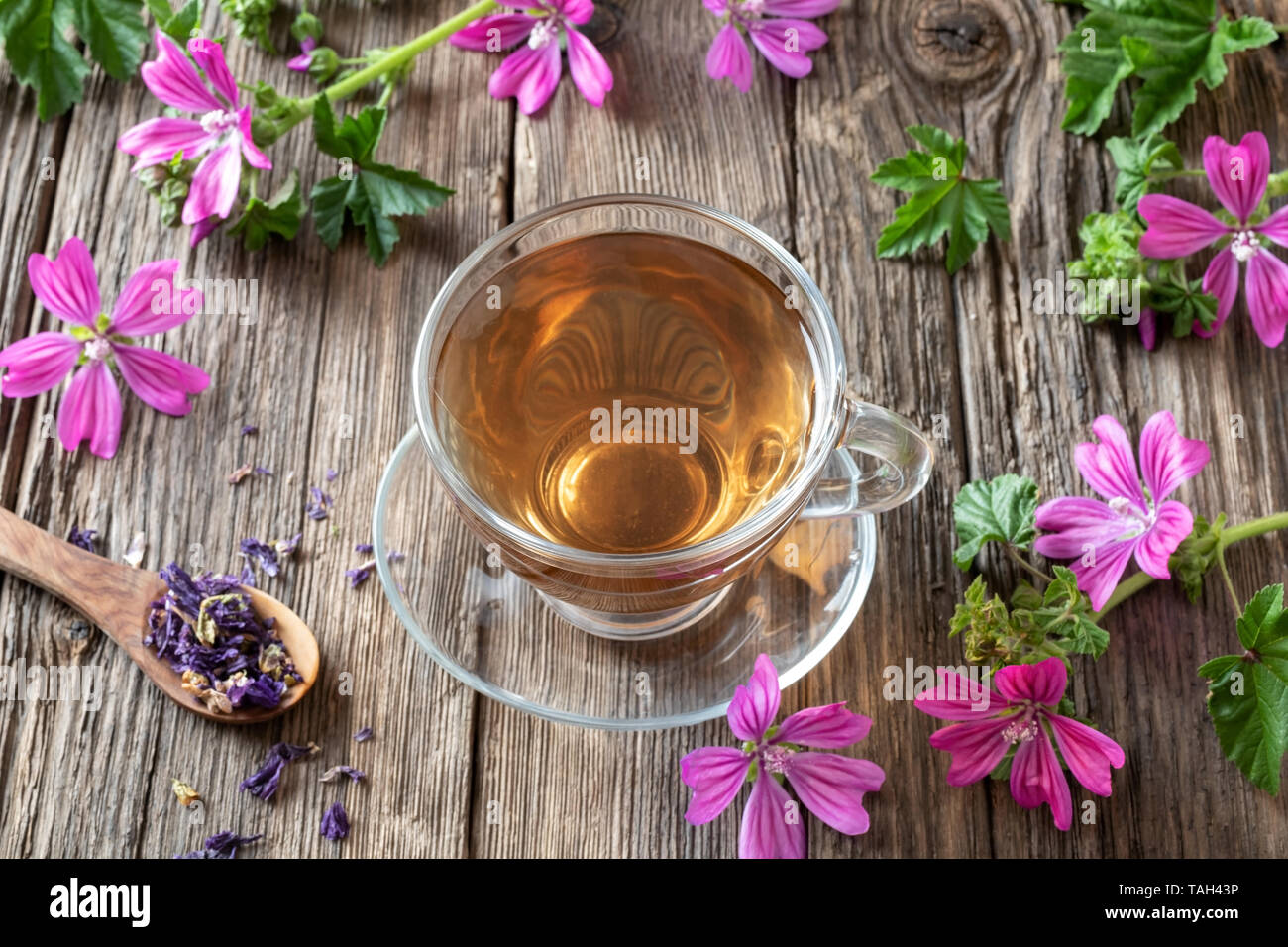 Malva sylvestris tea hi-res stock photography and images - Alamy