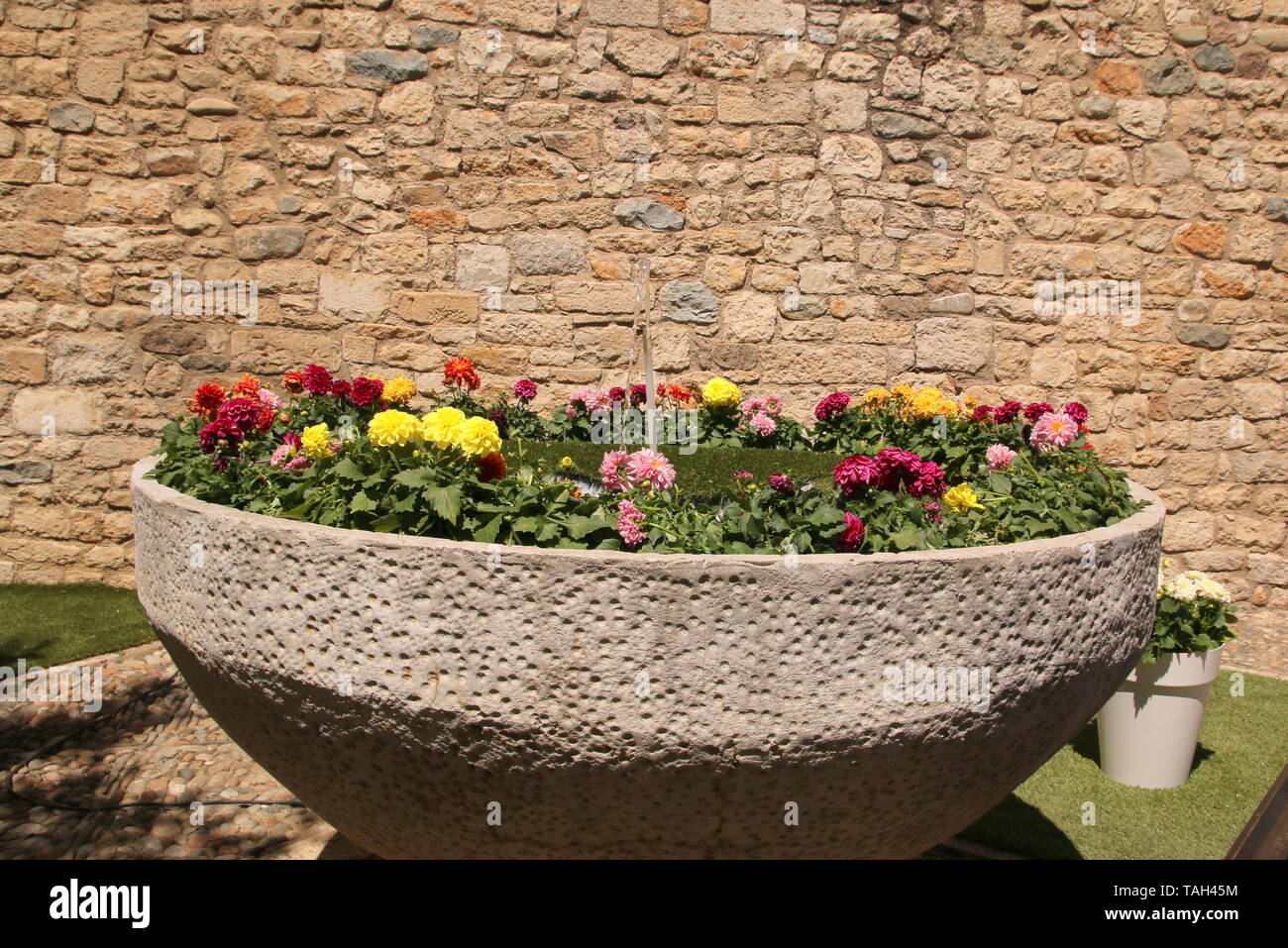Flowers in large pot hi-res stock photography and images - Alamy
