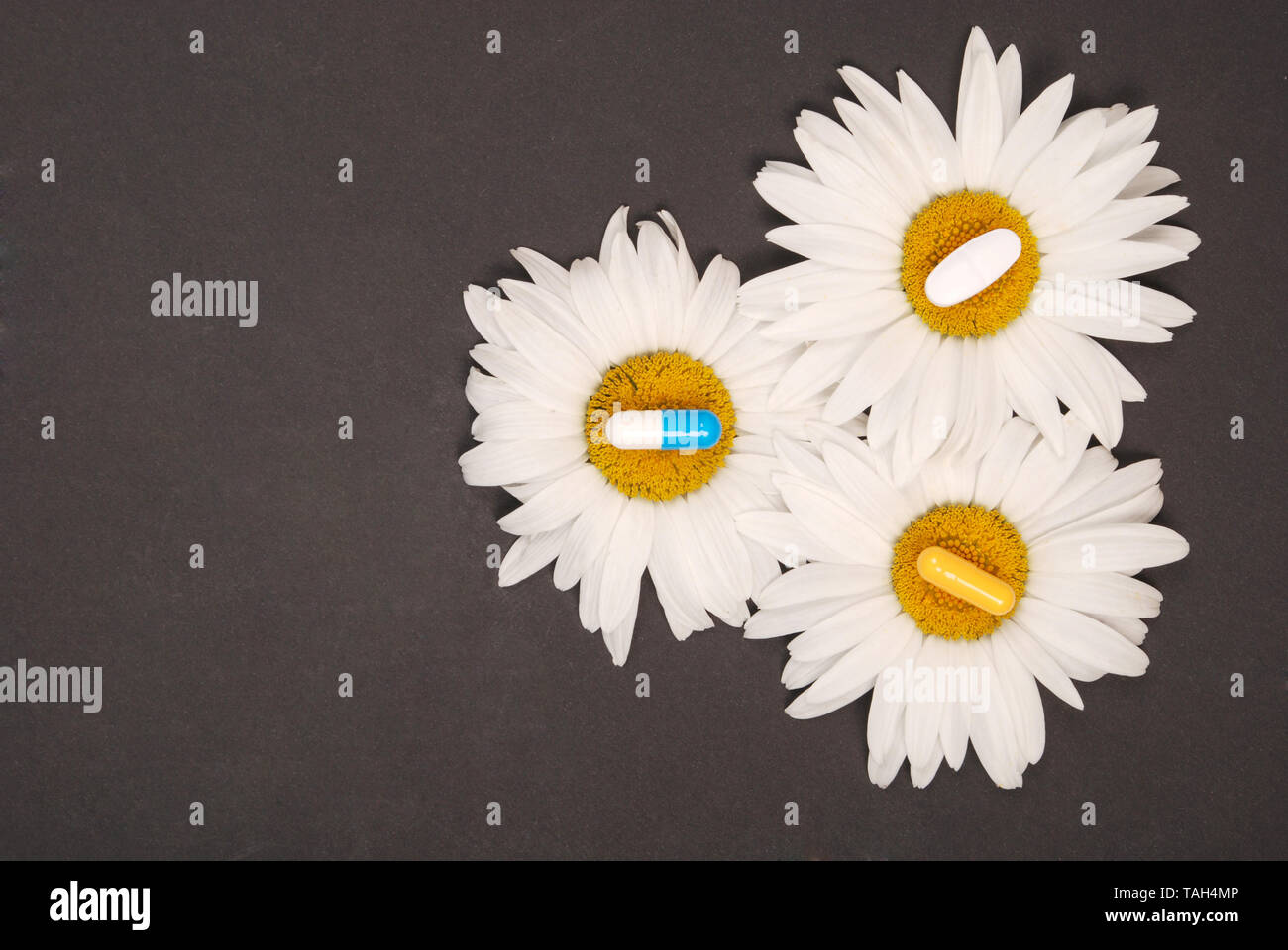 Chamomile flowers, homeopathic medicine. Tablets on yellow pollen Stock ...