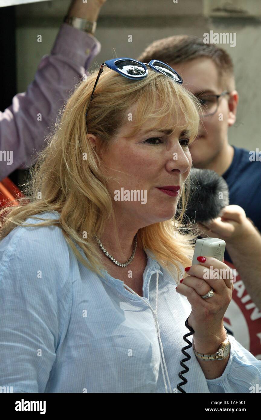 Janice Atkinson UKIP MEP Stock Photo - Alamy