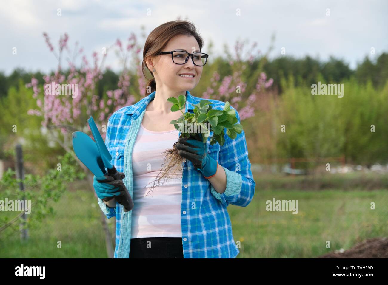 Portrait of mature woman in garden with tools, strawberry bushes ...