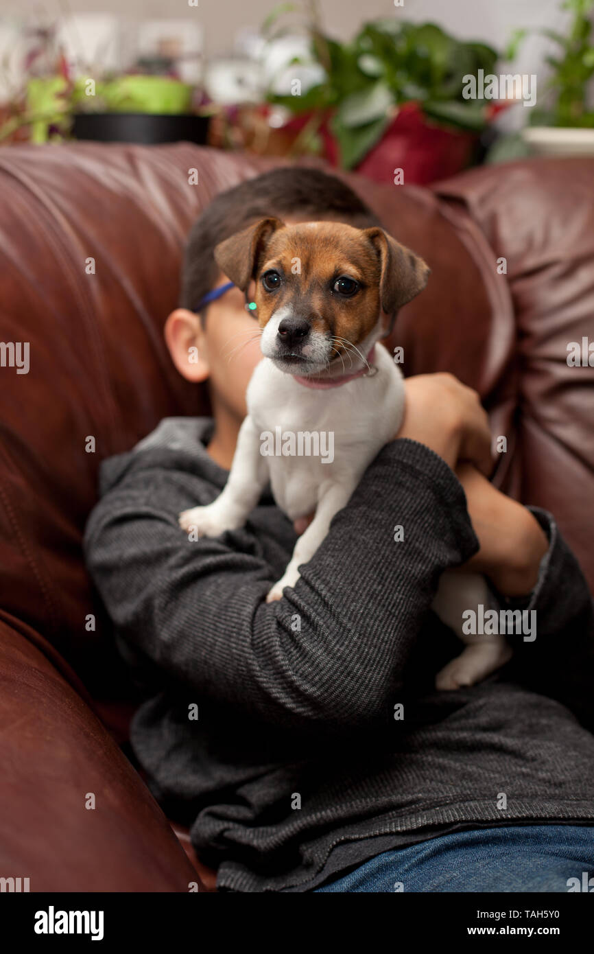 Jack russell girl hi-res stock photography and images - Alamy