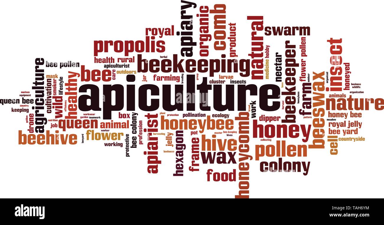 Apiculture word cloud concept. Vector illustration Stock Vector Image ...