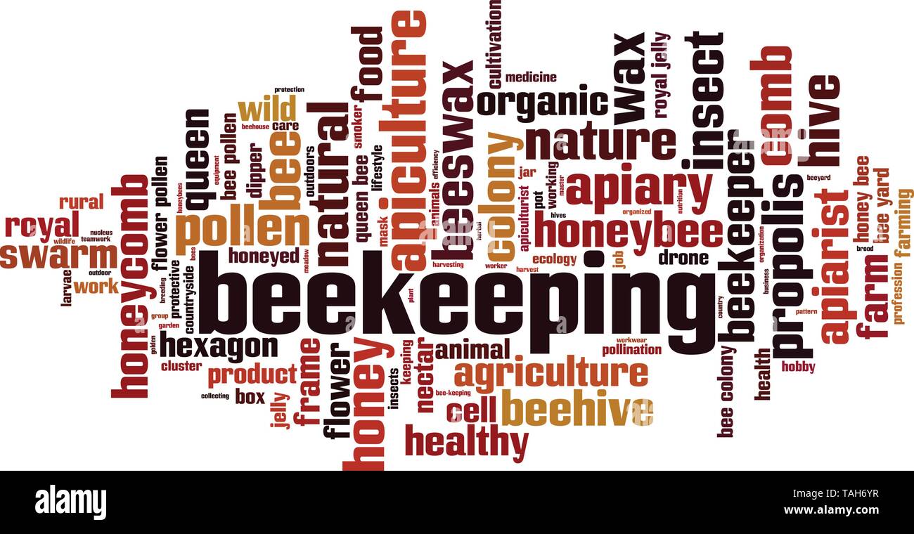 Honeycomb word cloud concept hi-res stock photography and images - Alamy