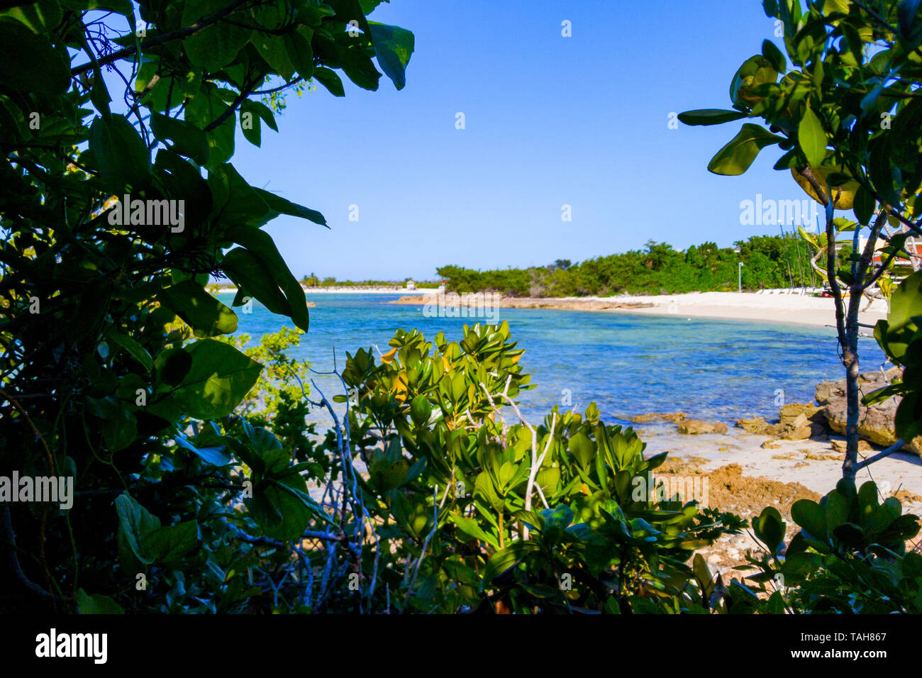 beautiful shore of the beach Stock Photo - Alamy