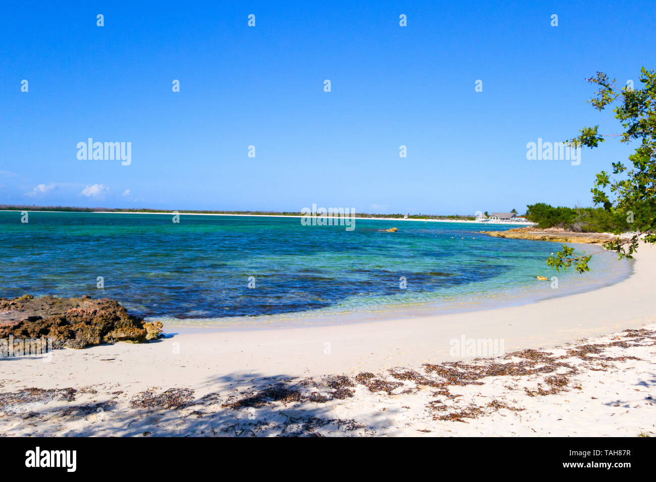 beautiful shore of the beach Stock Photo - Alamy