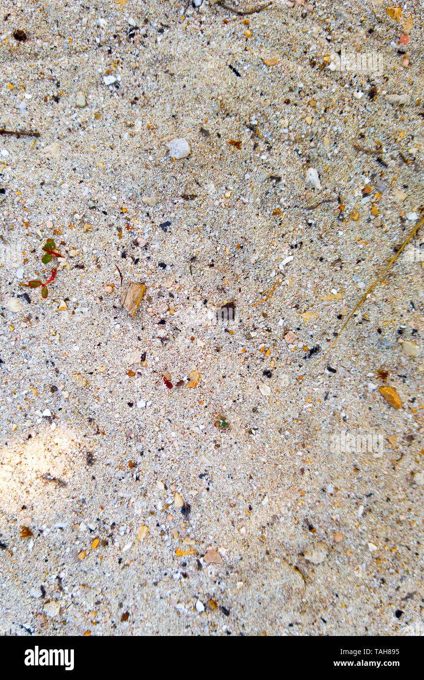 Natural world backgrounds hi-res stock photography and images - Alamy