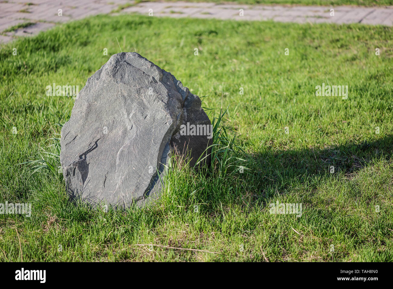 Large wild stone surrounded by green grass Stock Photo - Alamy