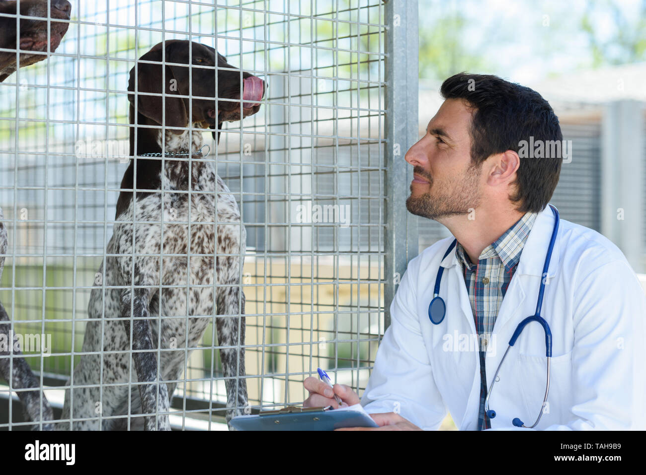 Medical pointer hi-res stock photography and images - Alamy