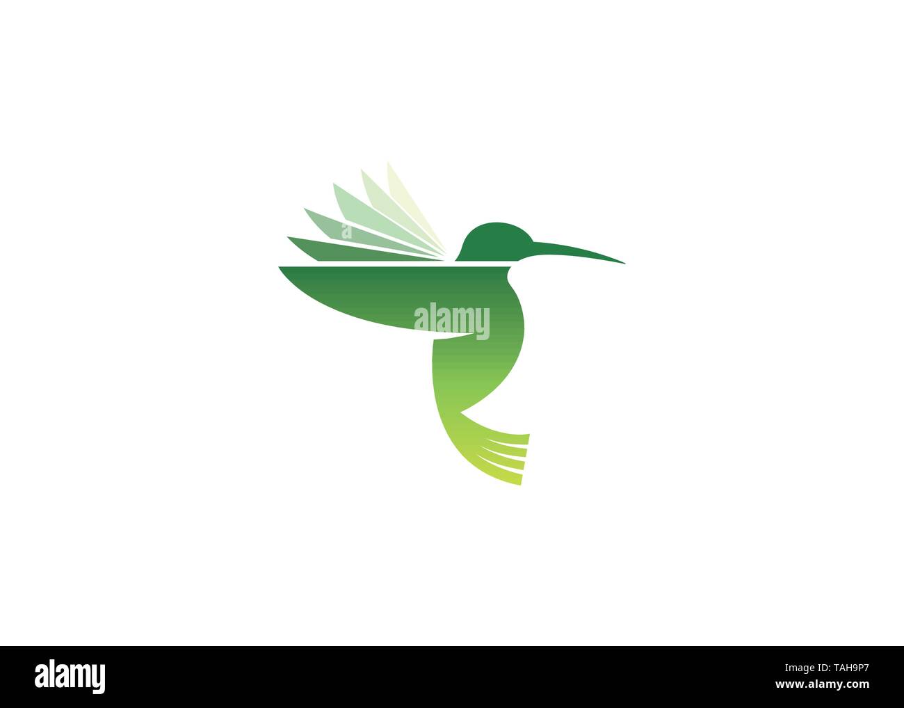 Creative Hummingbird Logo Stock Vector Image & Art - Alamy