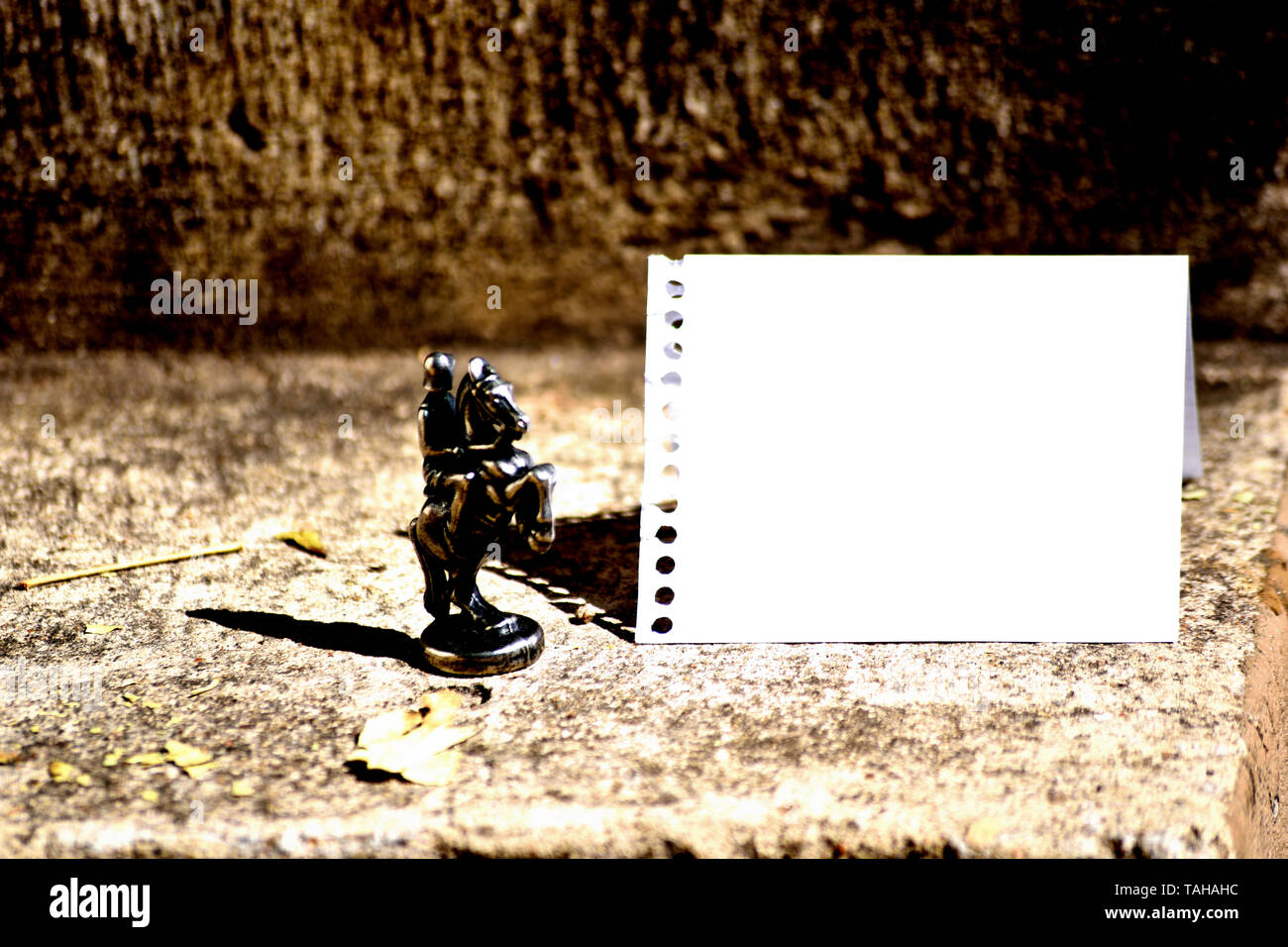 Bronze Knight Chessman Blank Spiral Notepad Sheet Folded in Half Dry ...