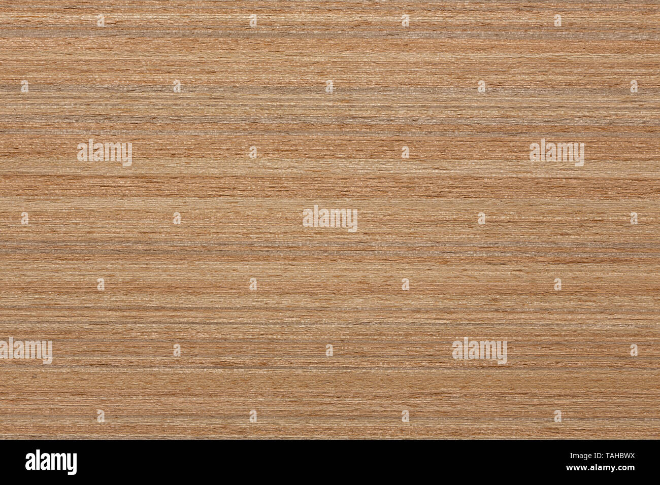 Clean beige veneer texture for your awesome project. High resolution ...