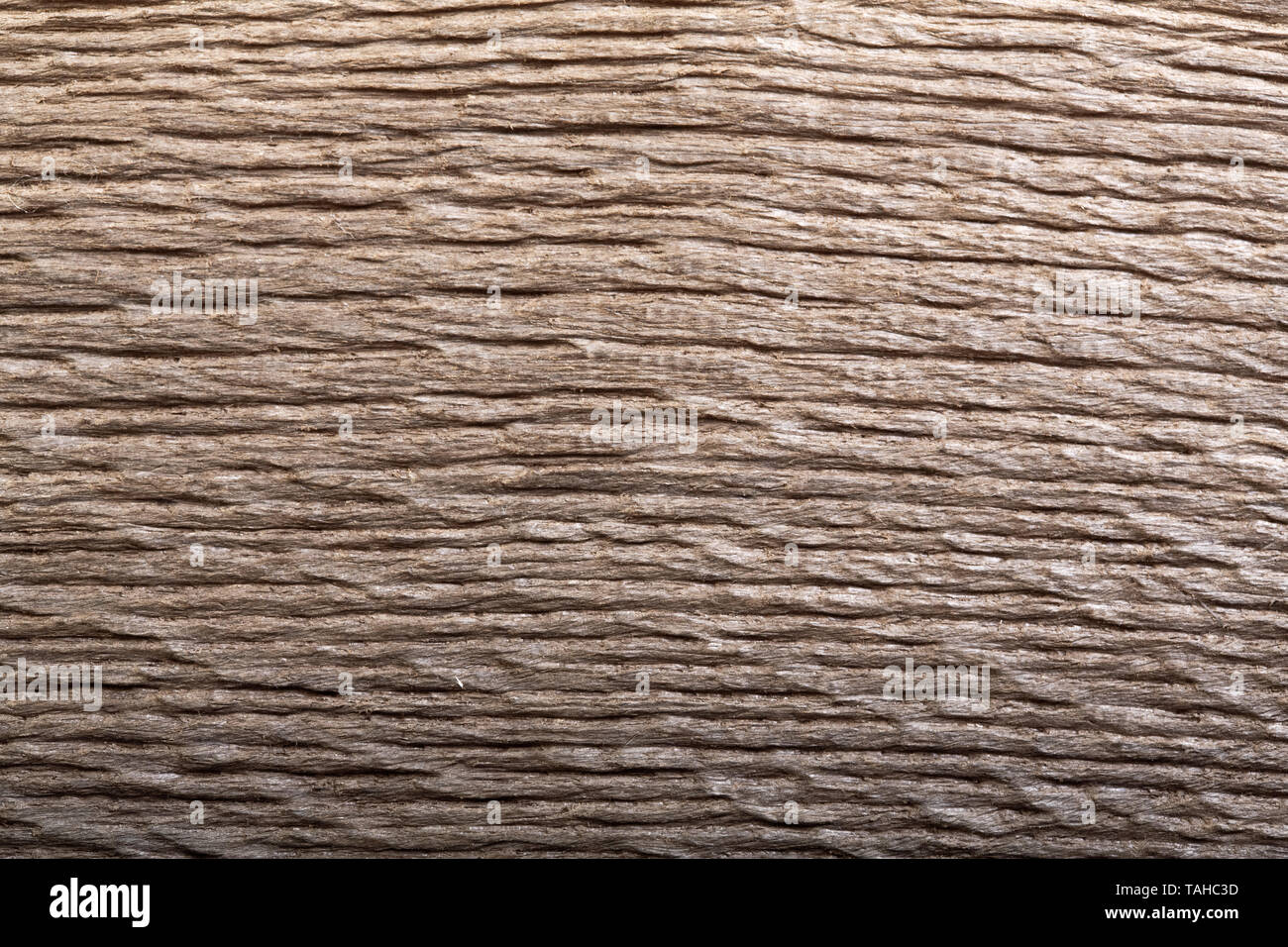 Prehistoric wood bog oak with fantastic texture. High resolution photo ...